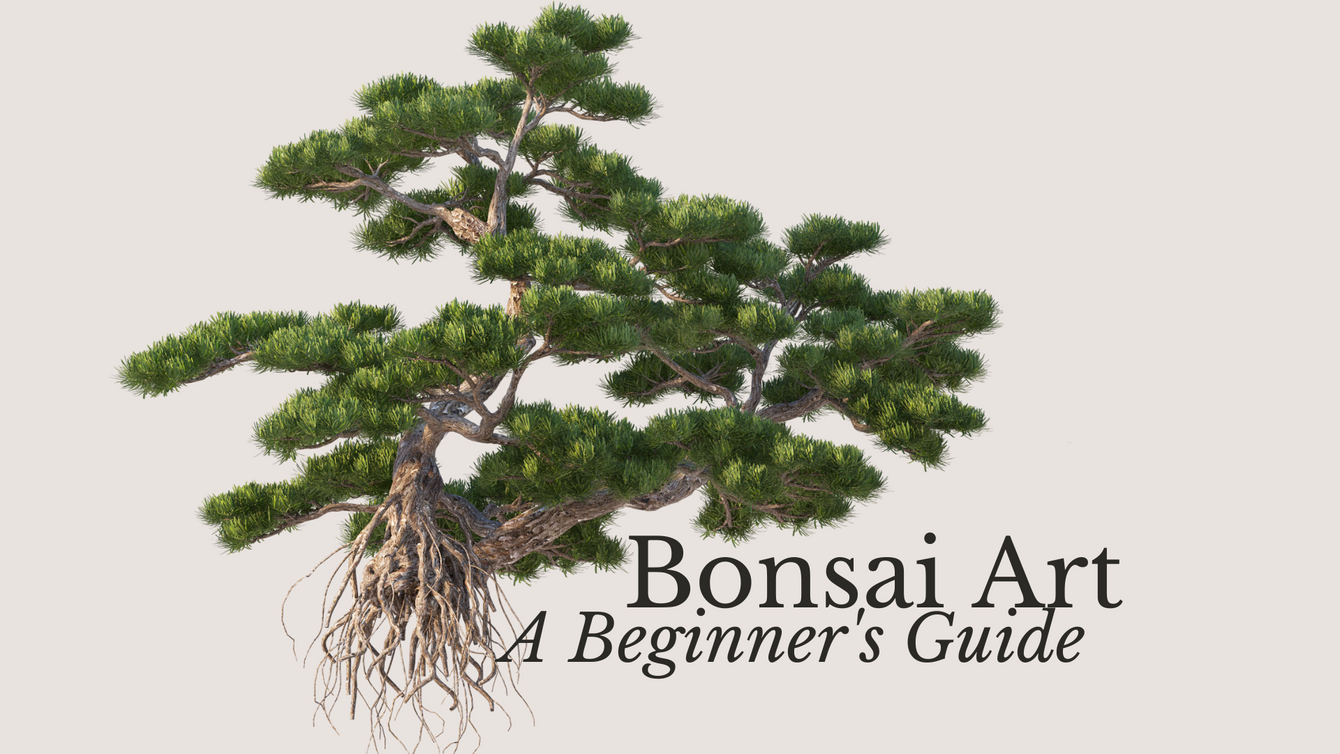 Getting Started in Bonsai Art: A Beginner's Guide – Woodlanders