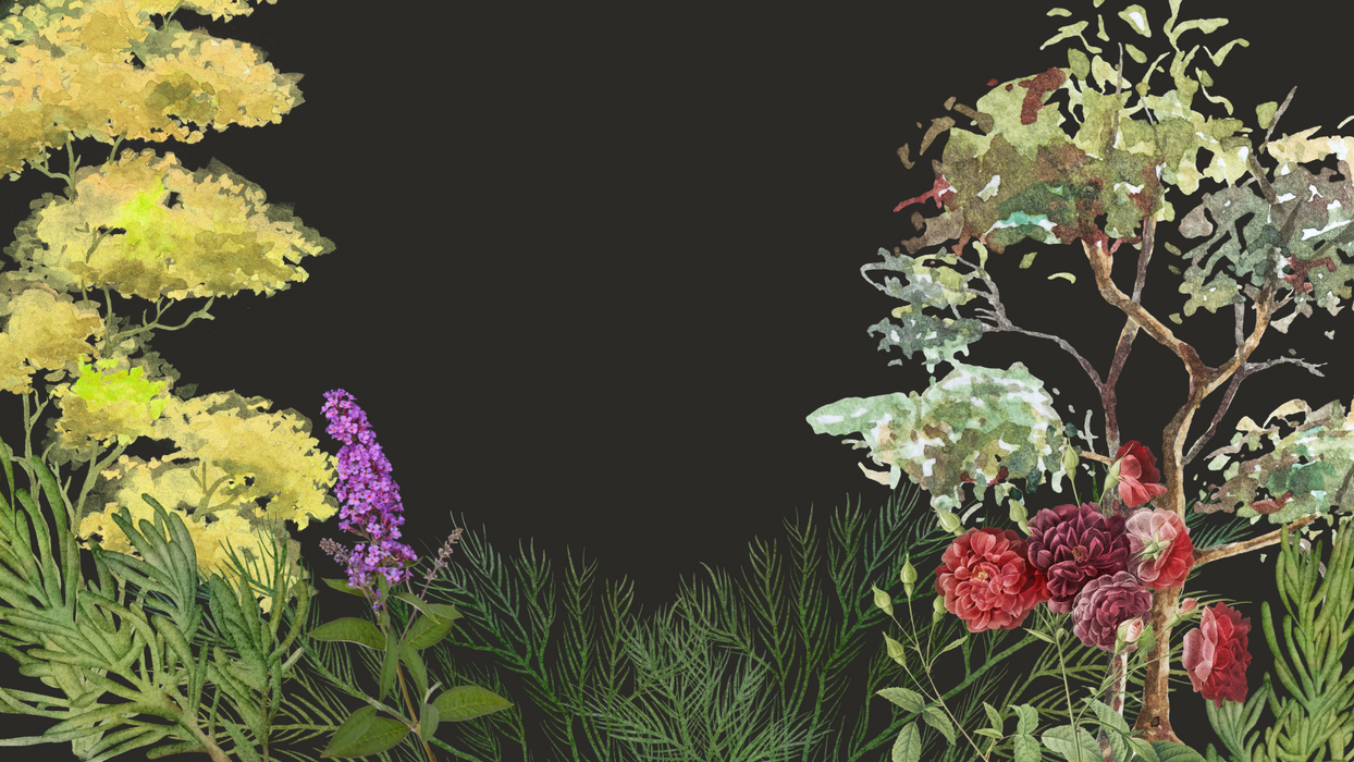 Woody Plants – Native, Rare, Shrubs, and Flowering Trees – Page ...