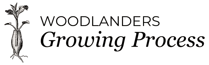 Iris fulva – Copper Iris for Rain Gardens and Wet Zones – Woodlanders